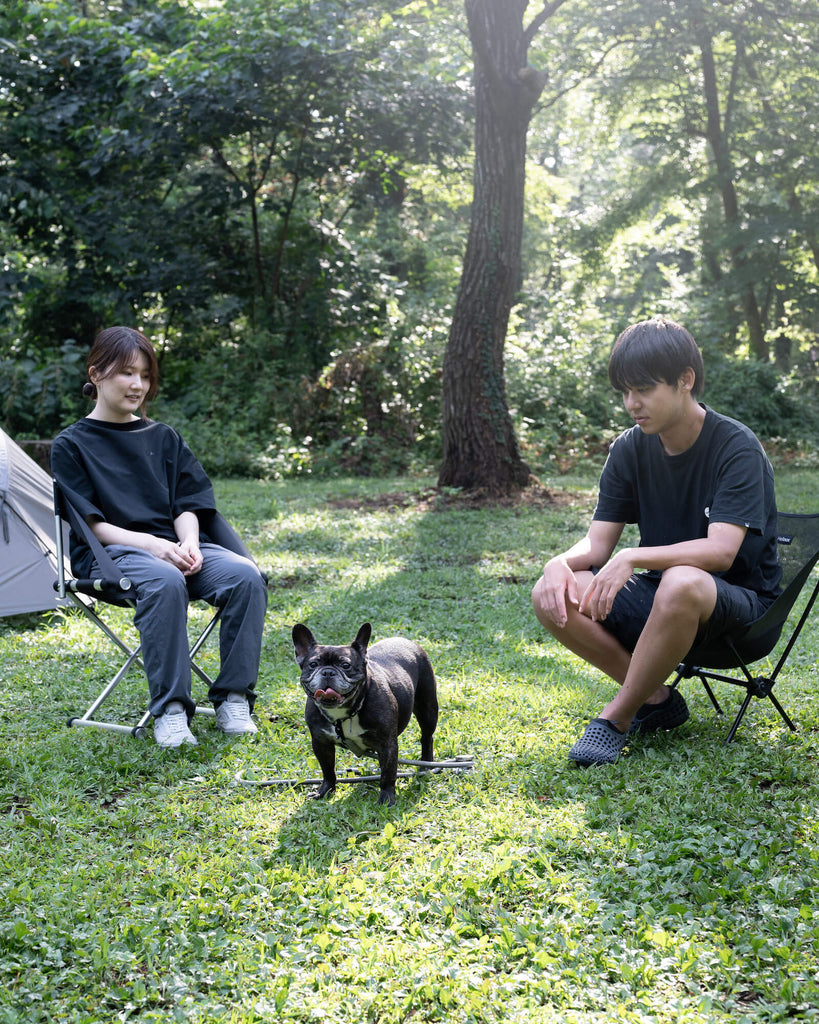 DOG BOLLARD – Living Plaza Store