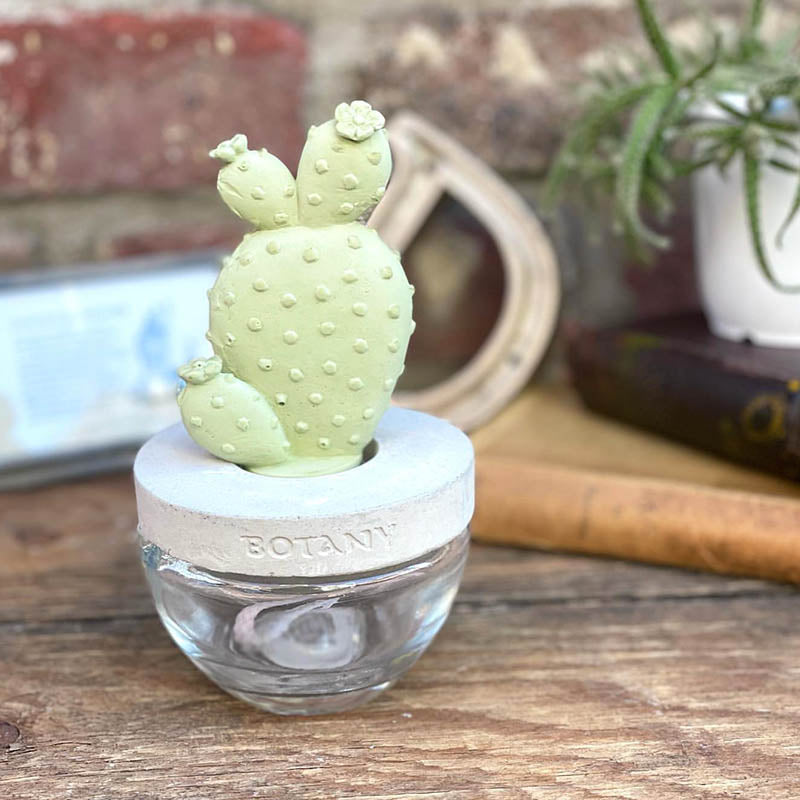 CACTUS FRAGRANCE DIFFUSER A E.PEONY – Living Plaza Store